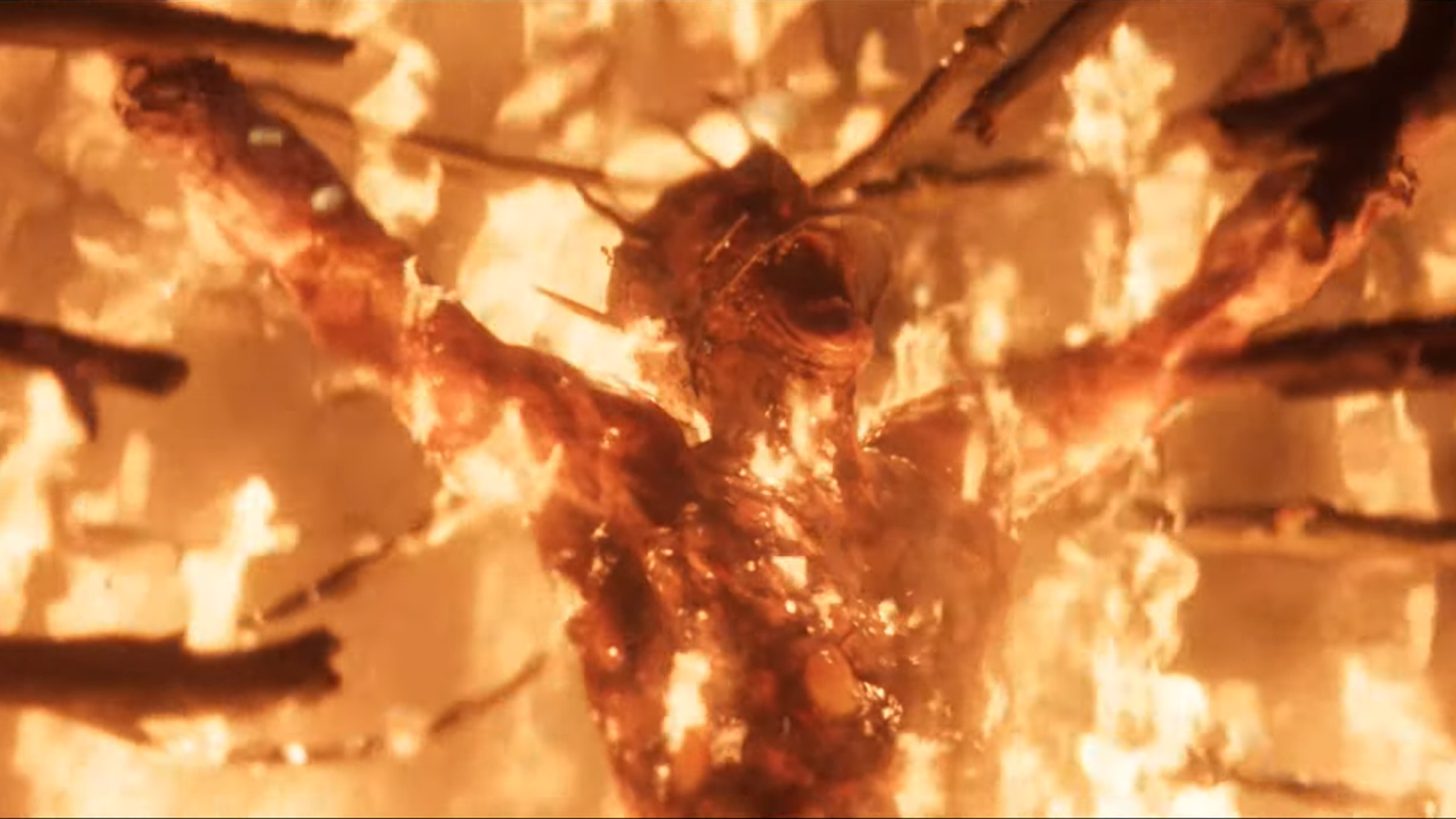 Larian's Next Game is Divinity and It's Going to Be Even Bigger Than ...