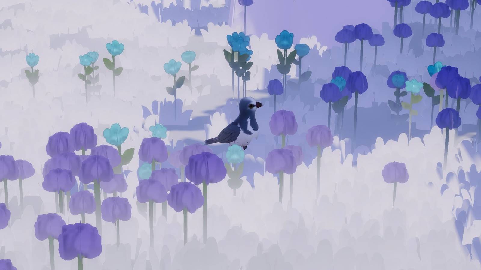 Where to Find Wonga Pigeon in Heartopia