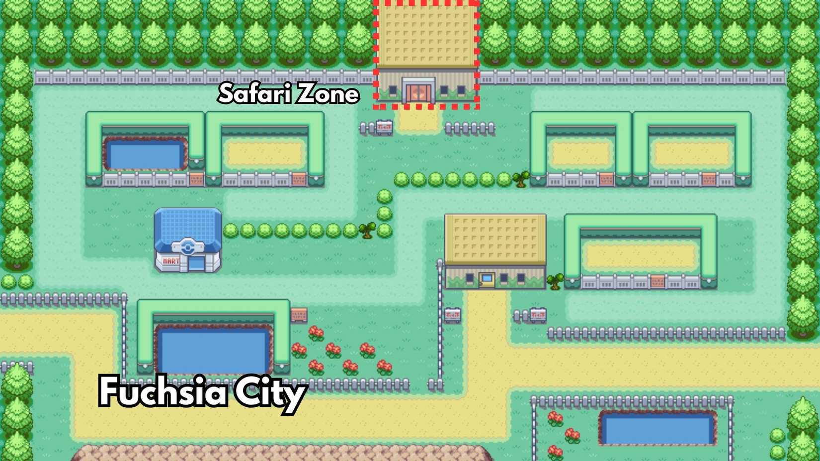 HM03 Surf Location in Pokemon FireRed & LeafGreen