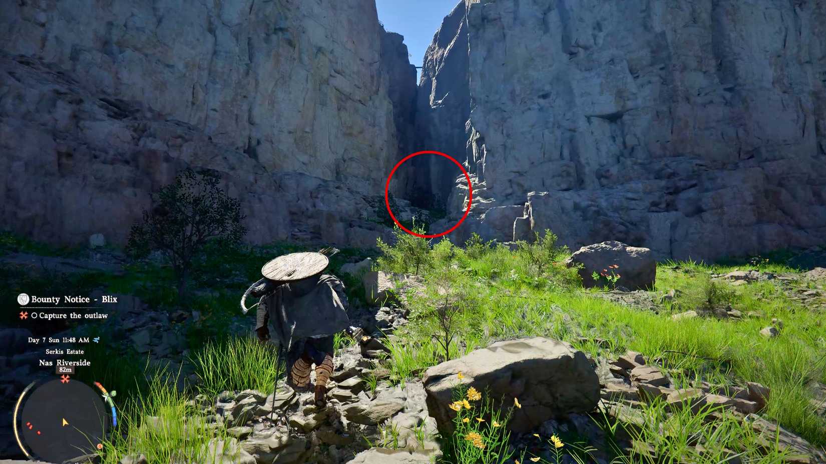 How to Capture Blix (Bounty) in Crimson Desert