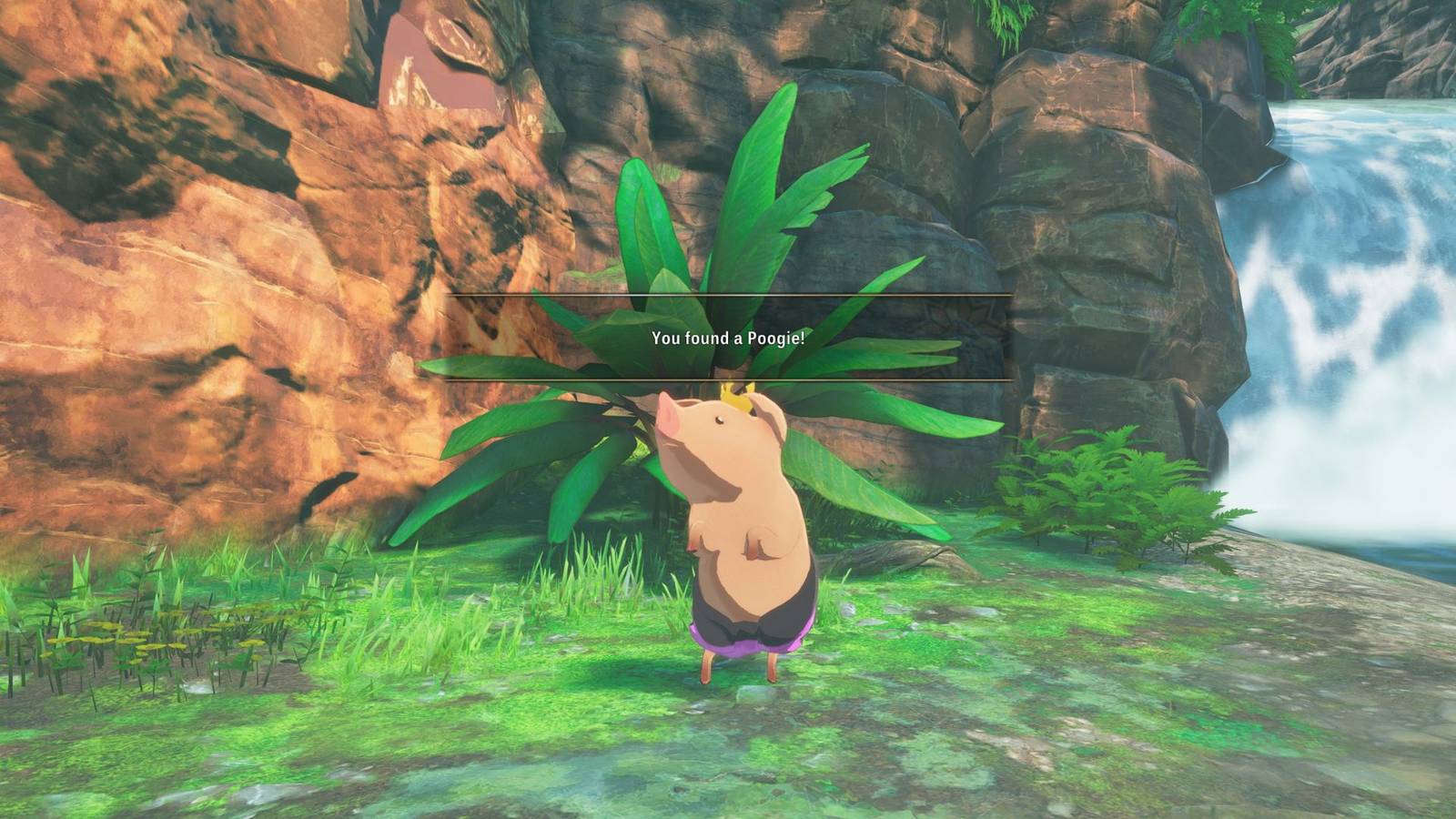 All Mt. Canalta Narrow Pass Poogie Locations in Monster Hunter Stories 3