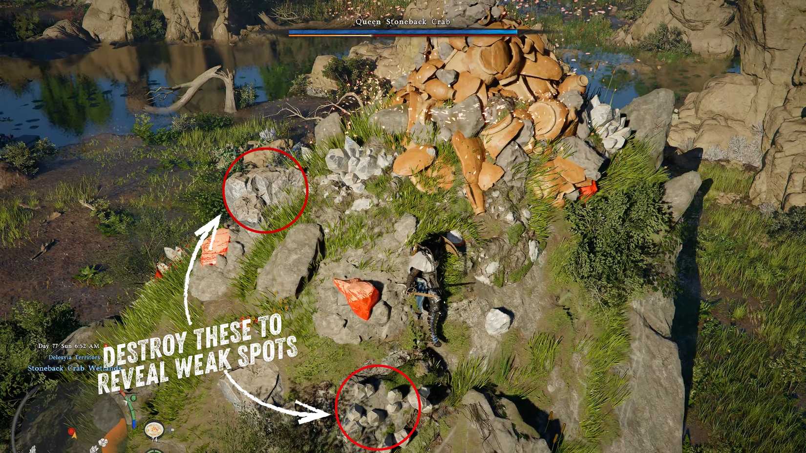 Queen Stoneback Crab Location & Boss Guide in Crimson Desert