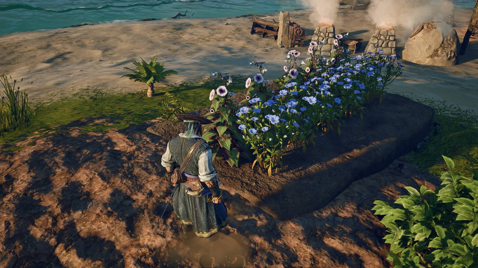 How to Plant Seeds in Windrose