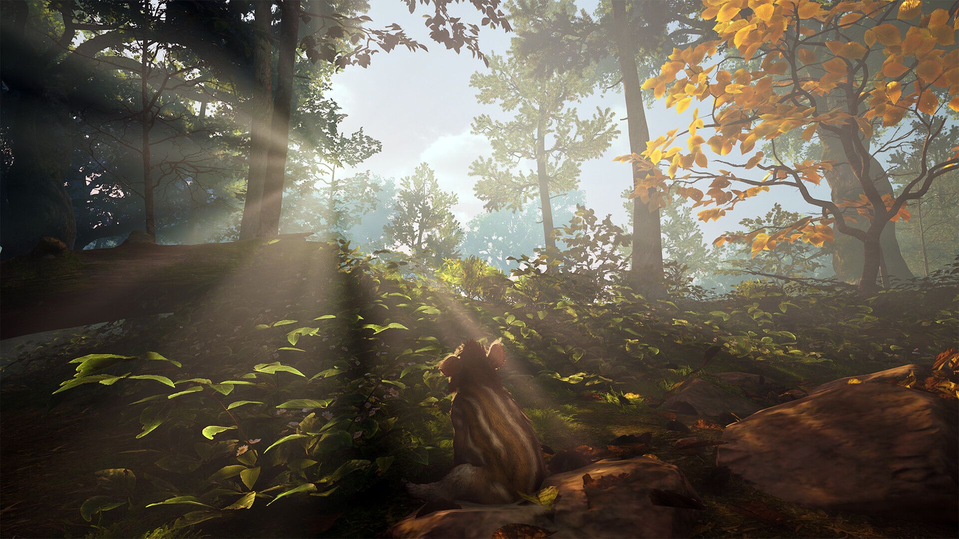 This is the Cutest Video Game You're Going to See This Month
