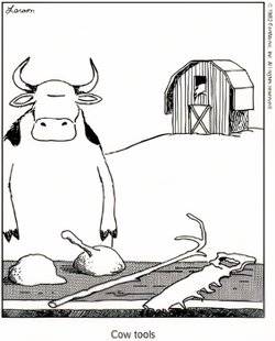 You Can't Miss These 5 Hilarious The Far Side Comic Strips