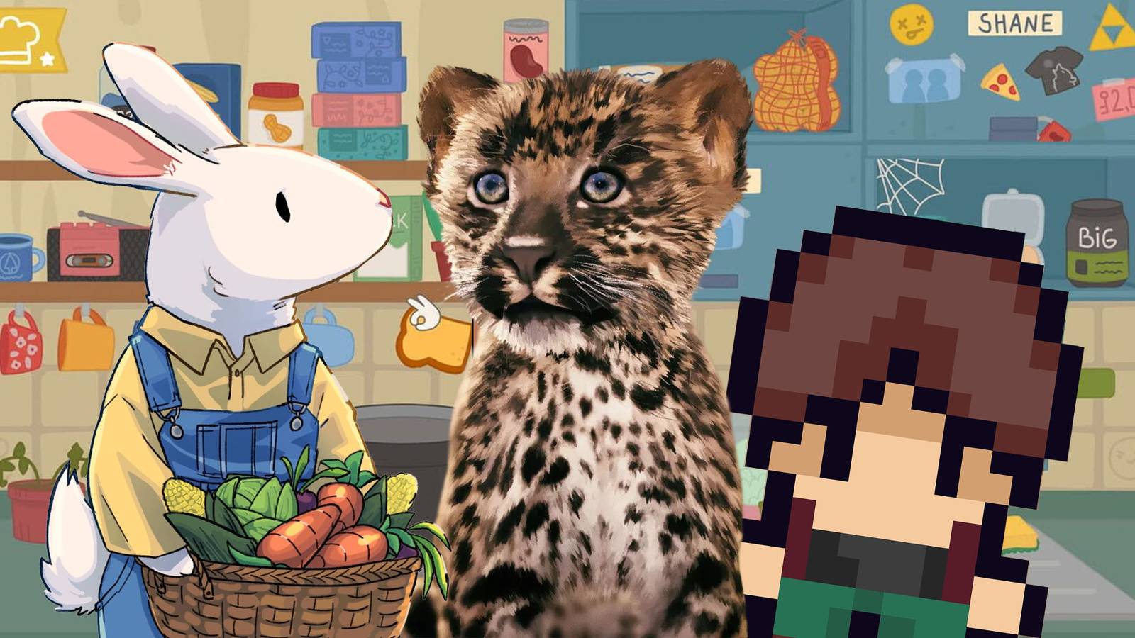 5 Cozy Steam Games To Play This Weekend | Indie Highlights