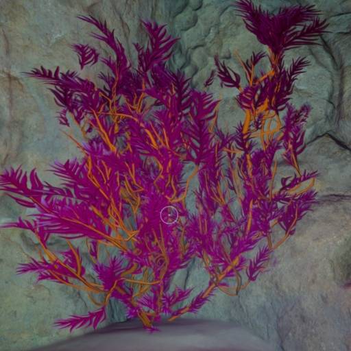 Subnautica 2 Fiber & Fibrous Pulp Location
