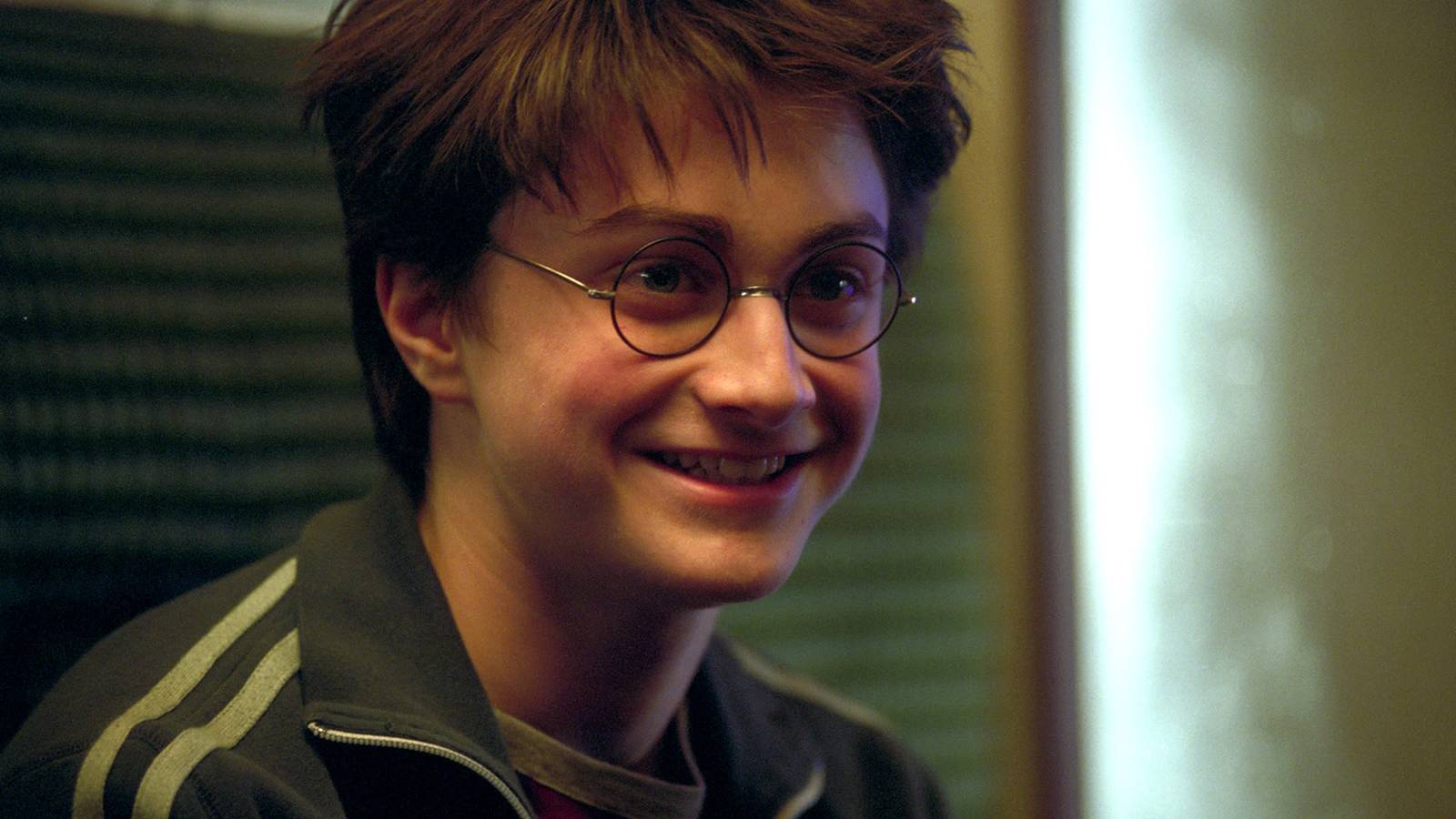 Harry Potter: Defenders of Hogwarts Officially Revealed
