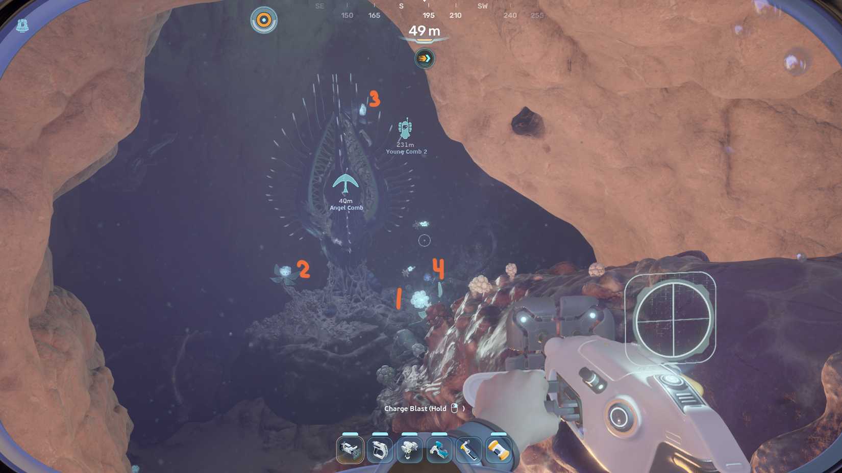 Angel Comb Guide In Subnautica 2