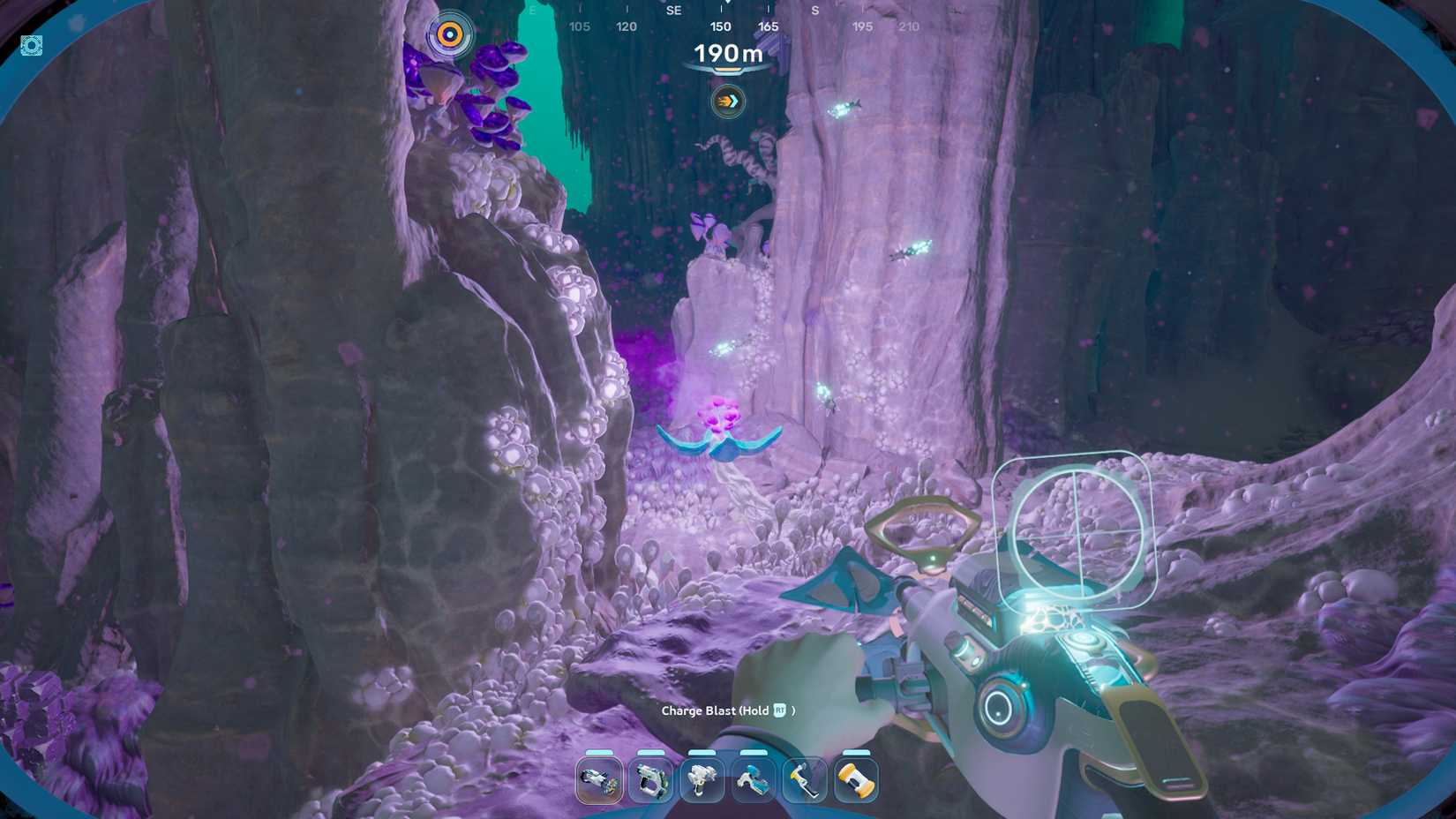 Angel Comb Guide In Subnautica 2