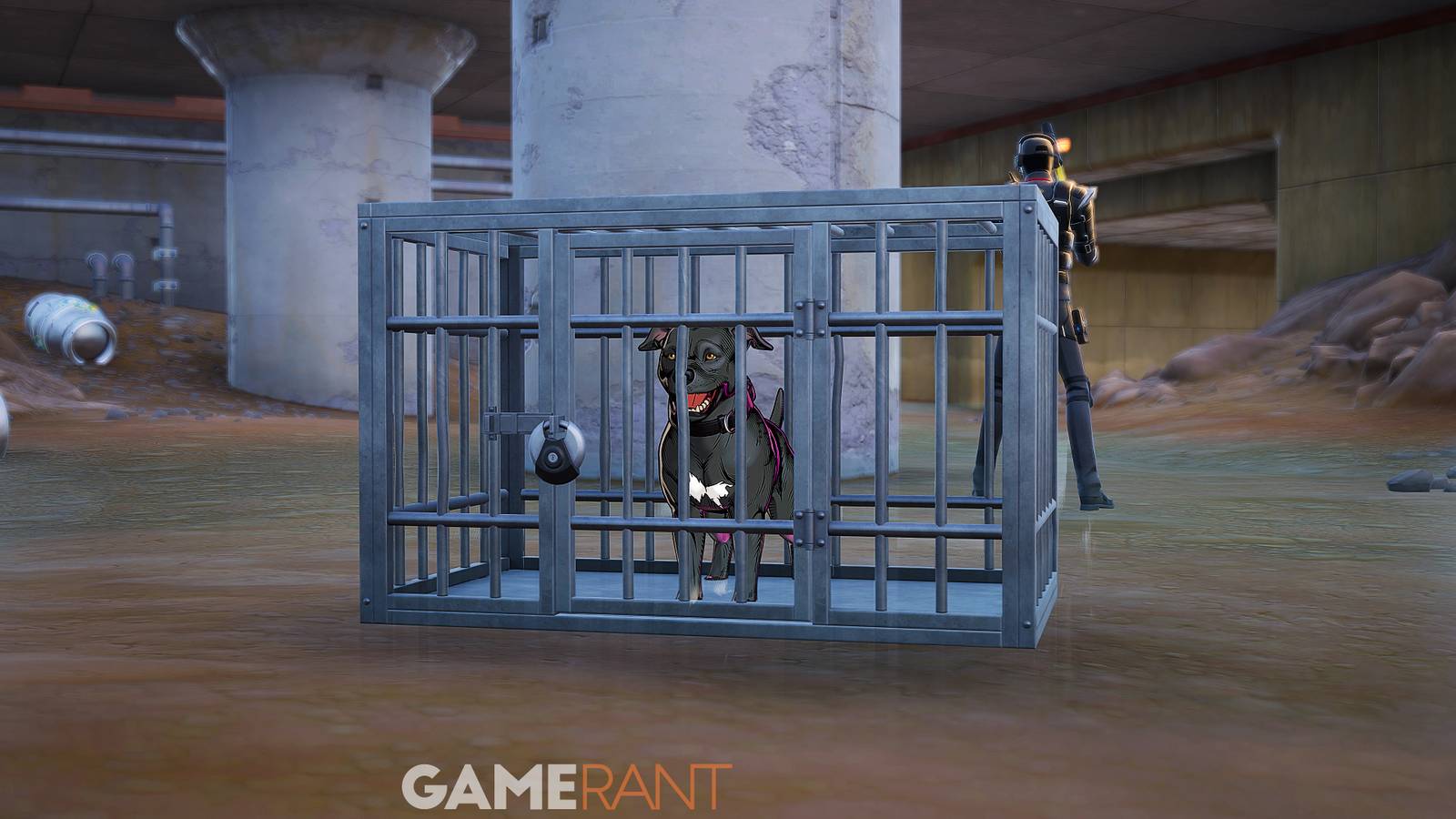 How to Rescue & Pet John Wick’s Dog in Fortnite (Battle Pass Quest)