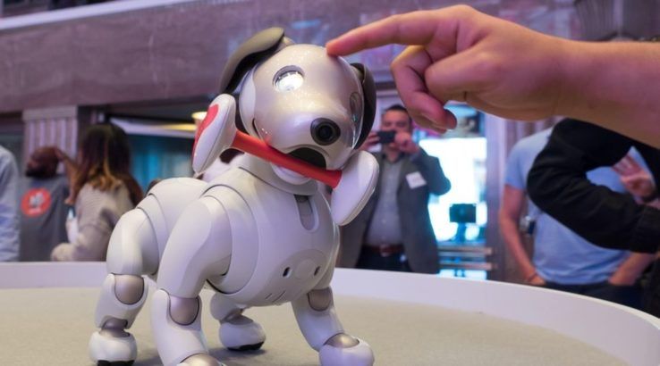 Sony is Releasing A Really Expensive Robot Puppy