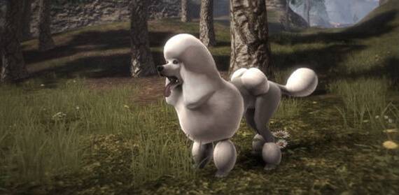 'Fable 3' DLC 'Dog Breed Set' Meets The American Kennel Club
