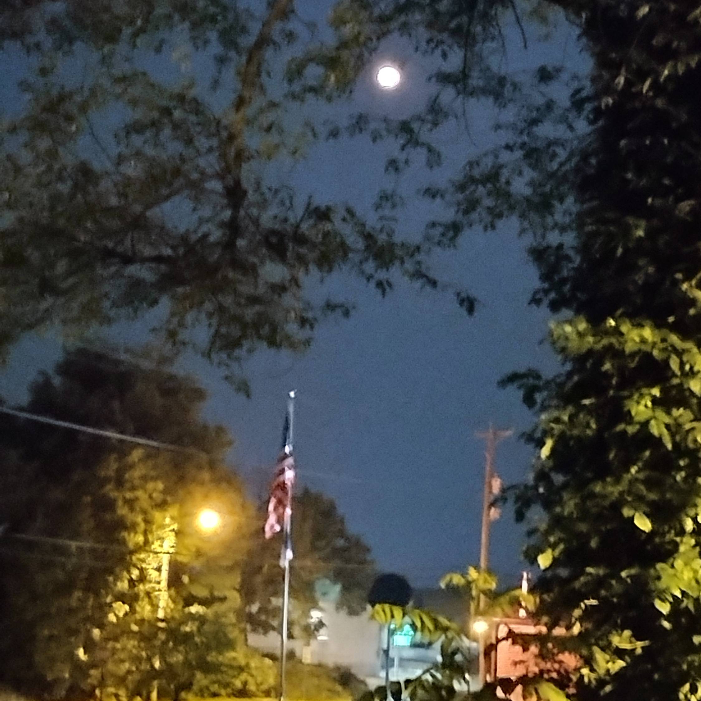 SocietySucks | Game Rant Profile