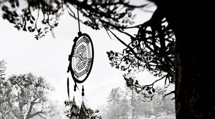 Red Dead Redemption 2: Where to Find All Berries