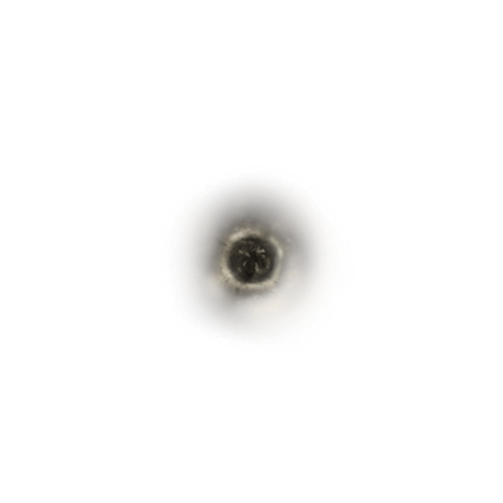 Elden Ring: How to Use Golden Runes