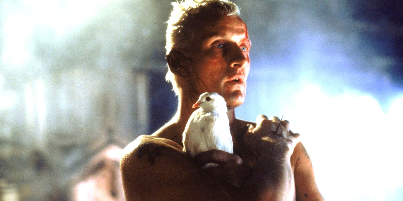 Here's When Blade Runner Is Streaming On Netflix