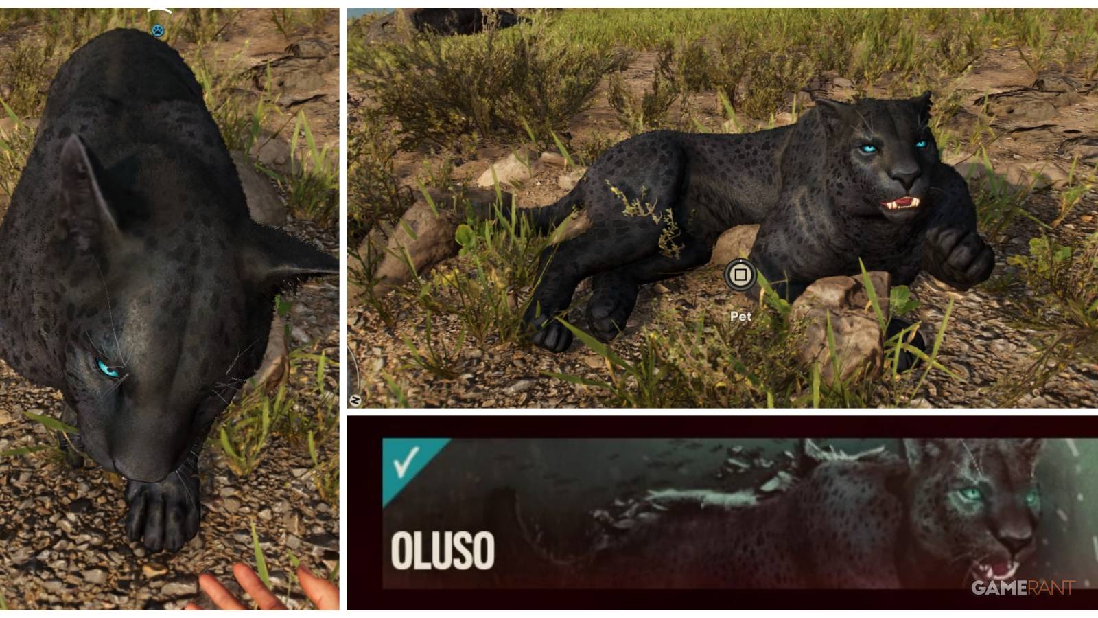 Far Cry 6: How to Get Oluso