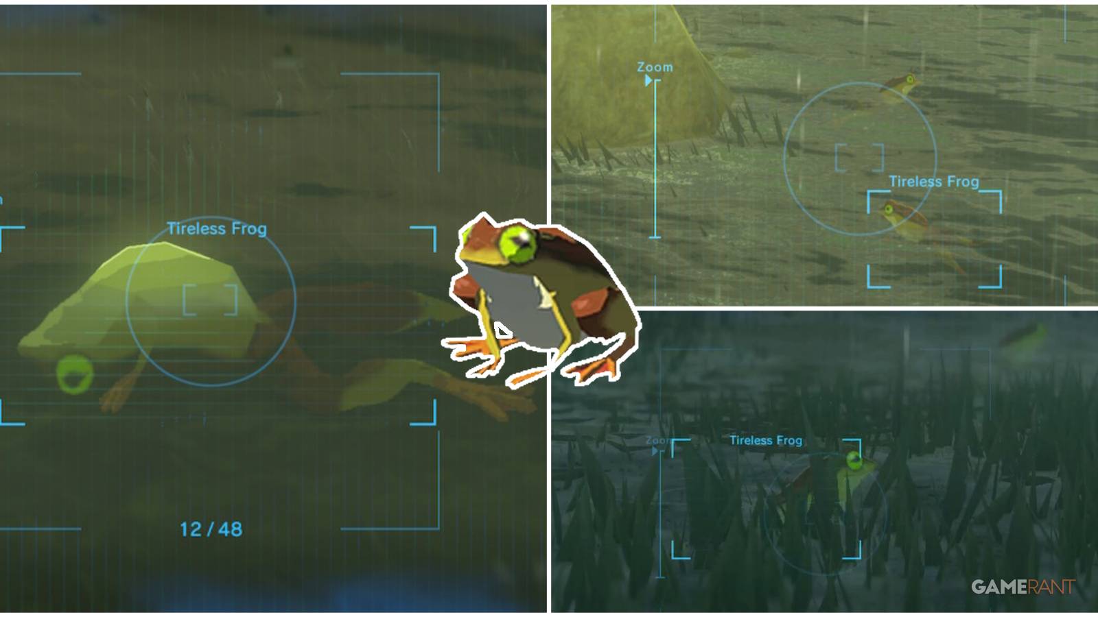 Breath of the Wild: Where to Farm Tireless Frogs