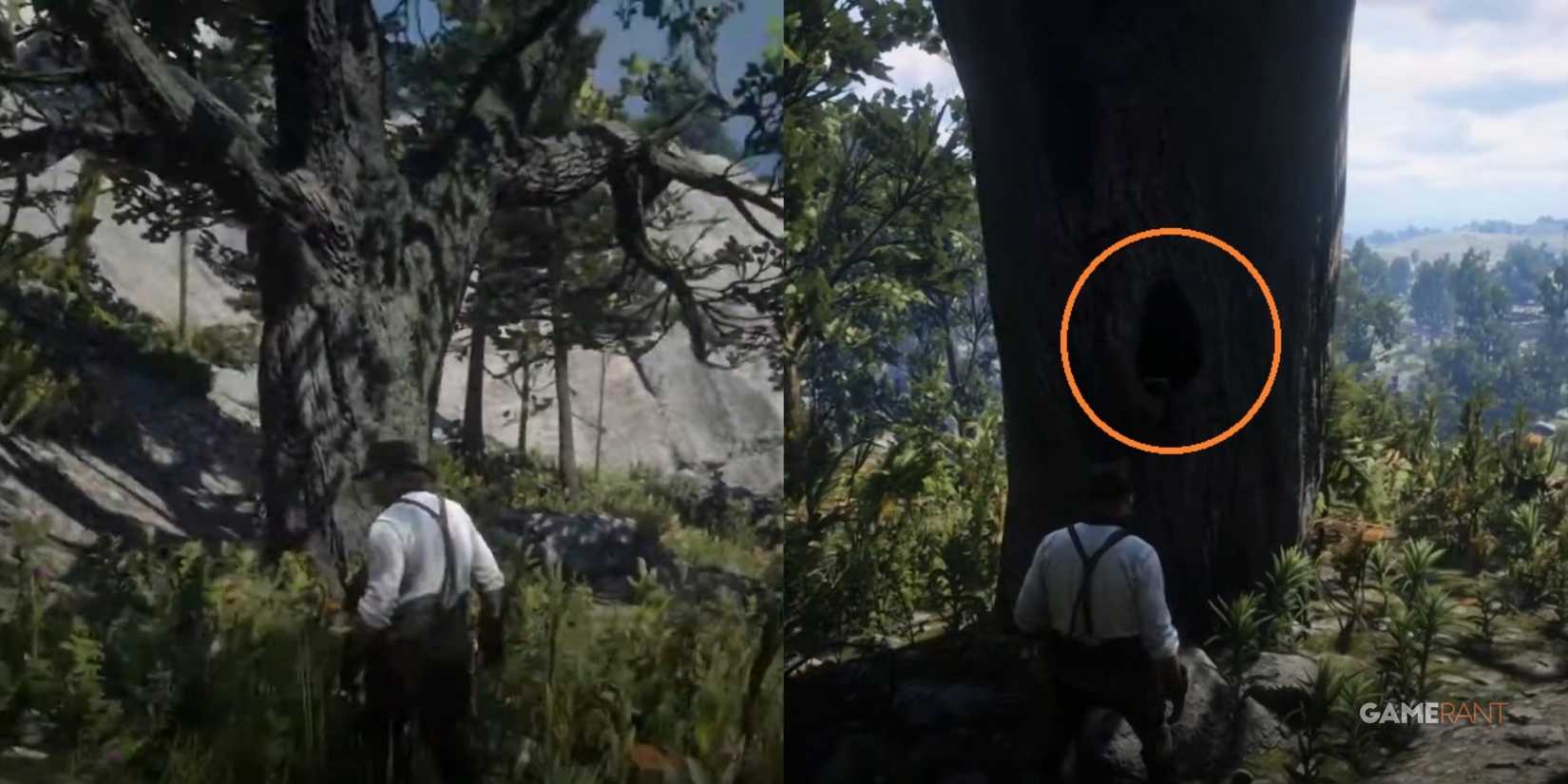 Red Dead Redemption 2: How to Solve Chick's Treasure Map