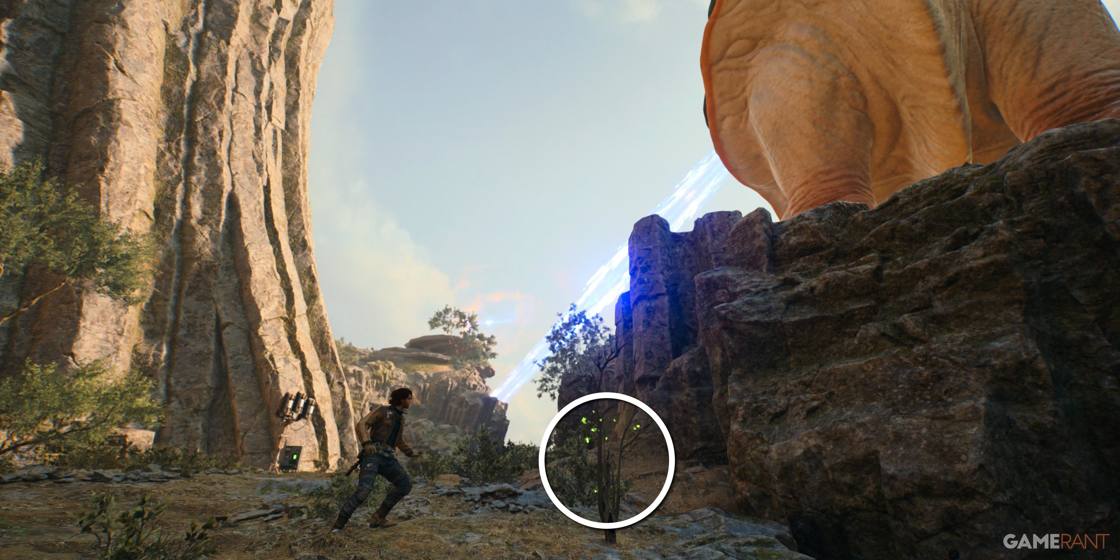 Star Wars Jedi: Survivor – All Koboh Seed Pods: Dredger Gorge