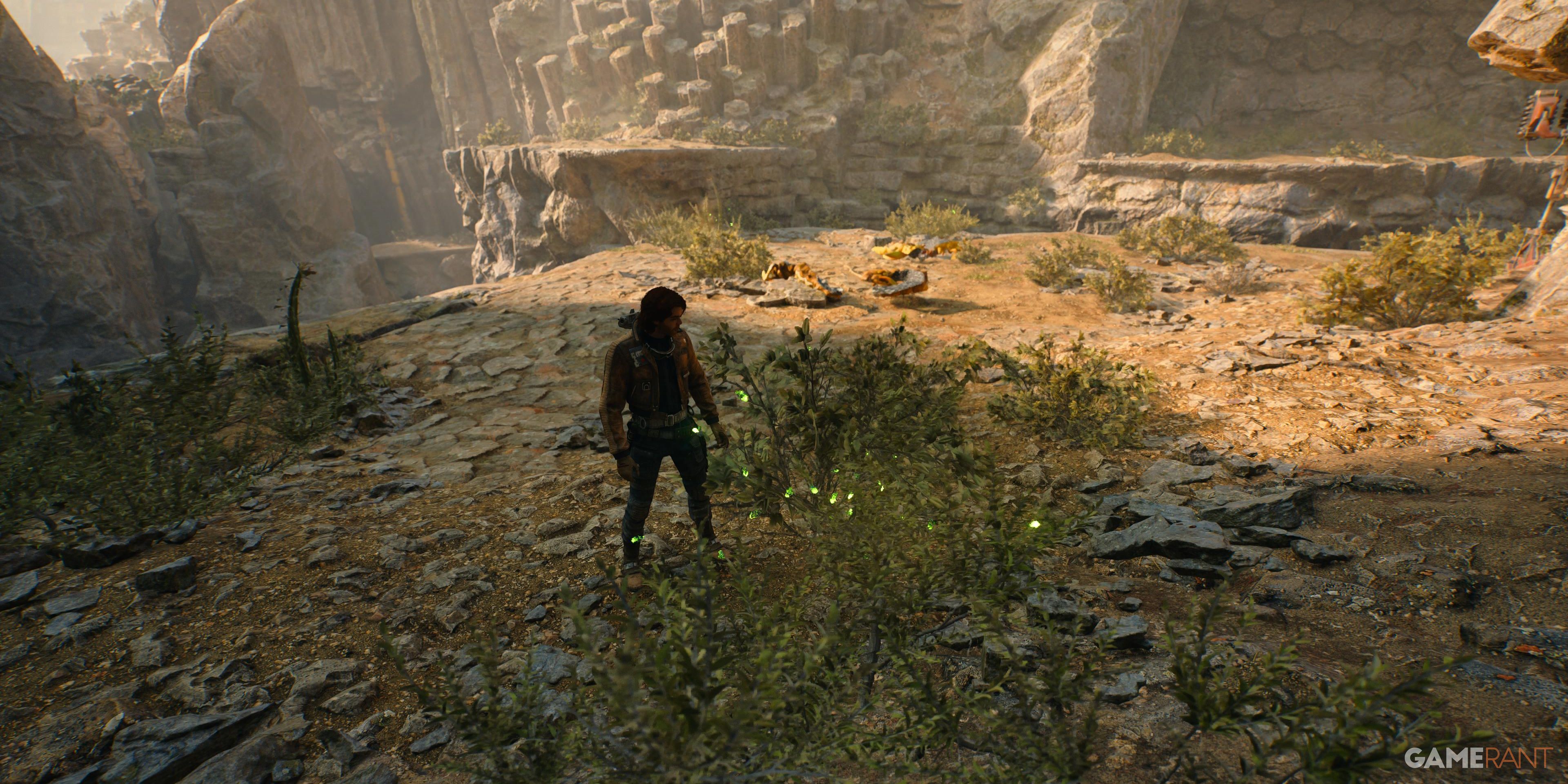 Star Wars Jedi: Survivor – All Koboh Seed Pods: Dredger Gorge