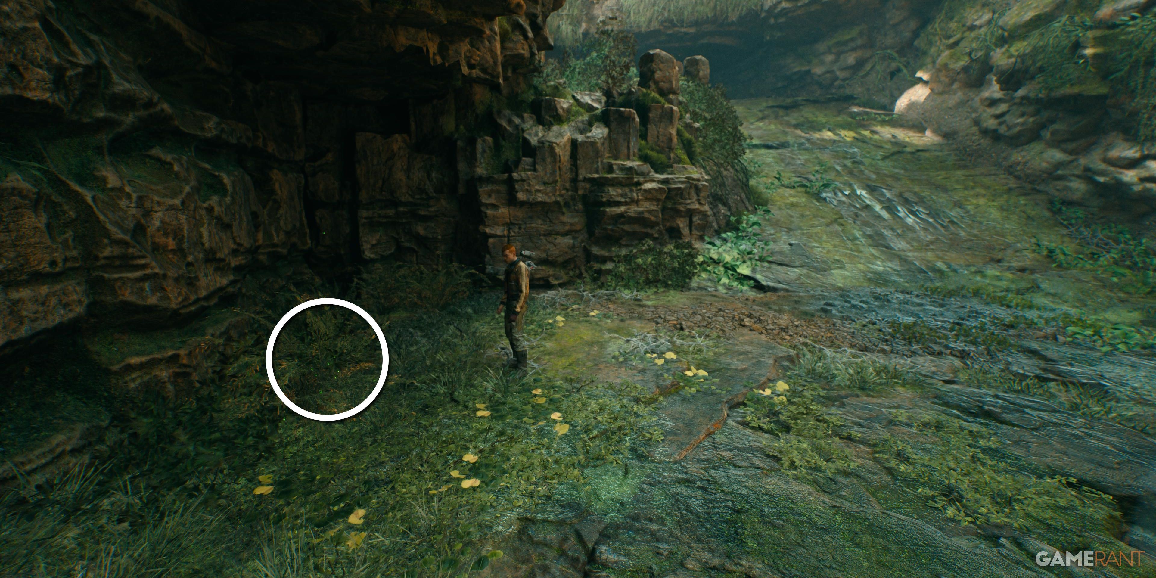 Star Wars Jedi: Survivor – All Koboh Seed Pods: Basalt Forest