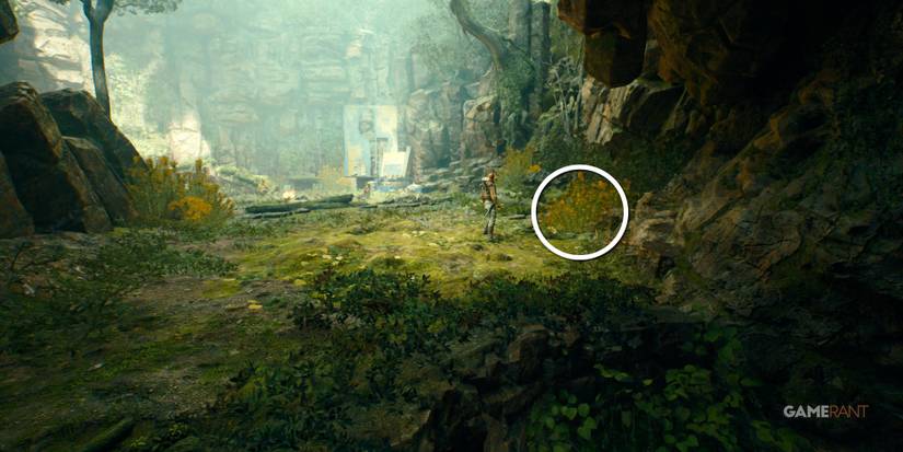 Star Wars Jedi: Survivor – All Koboh Seed Pods: Basalt Forest