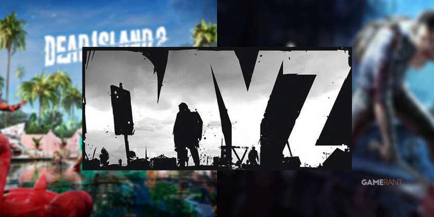 The Best Assault Rifles In DayZ