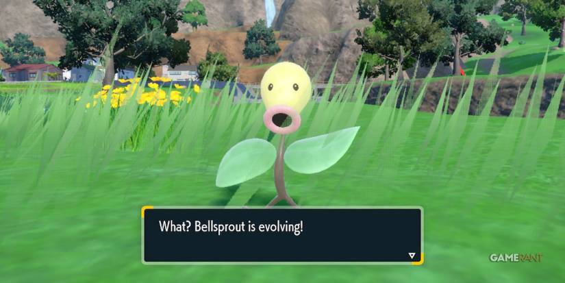 Pokemon Scarlet & Violet: How to Evolve Bellsprout & Weepinbell into ...