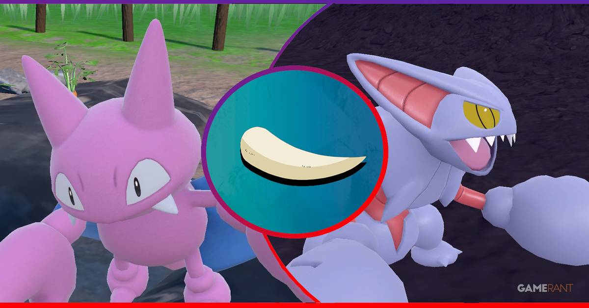 Nintendo Pokémon GO Plus Pokemon Go Video Game Merchandise Litwick ...