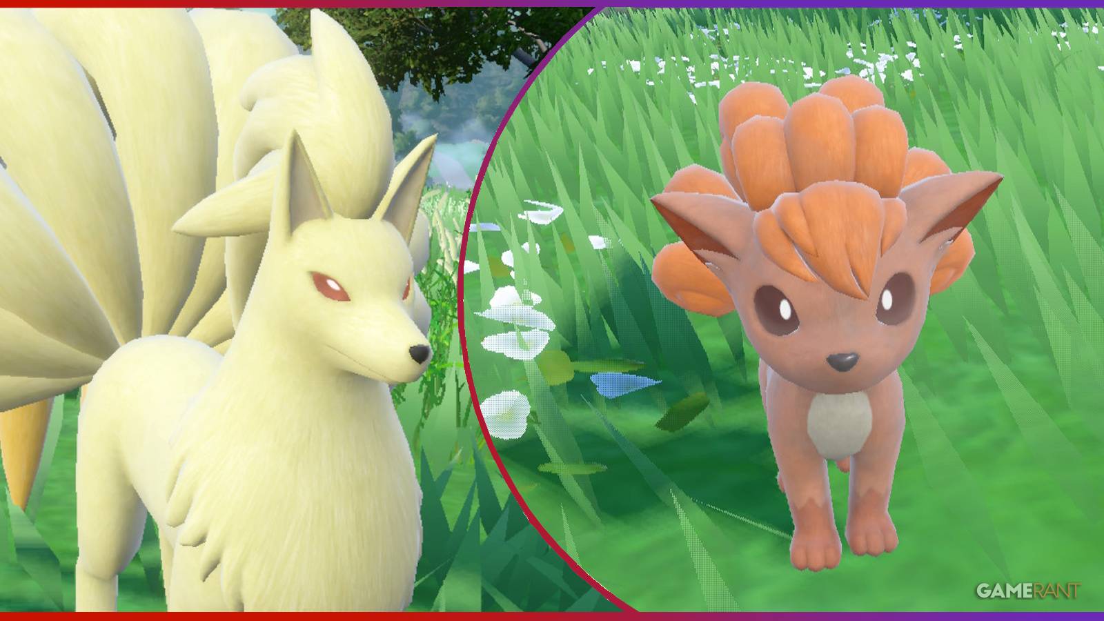 Pokemon Scarlet & Violet: How to Evolve Vulpix into Ninetails