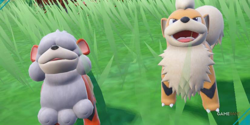 Pokemon Scarlet & Violet: How to Get & Evolve Hisuian Growlithe (Is ...