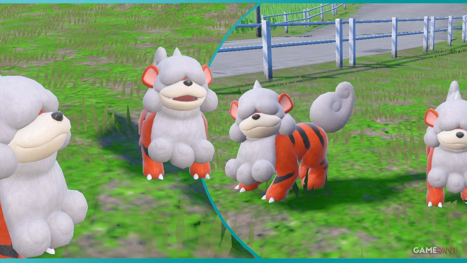 Pokemon Scarlet & Violet: How to Get & Evolve Hisuian Growlithe (Is ...