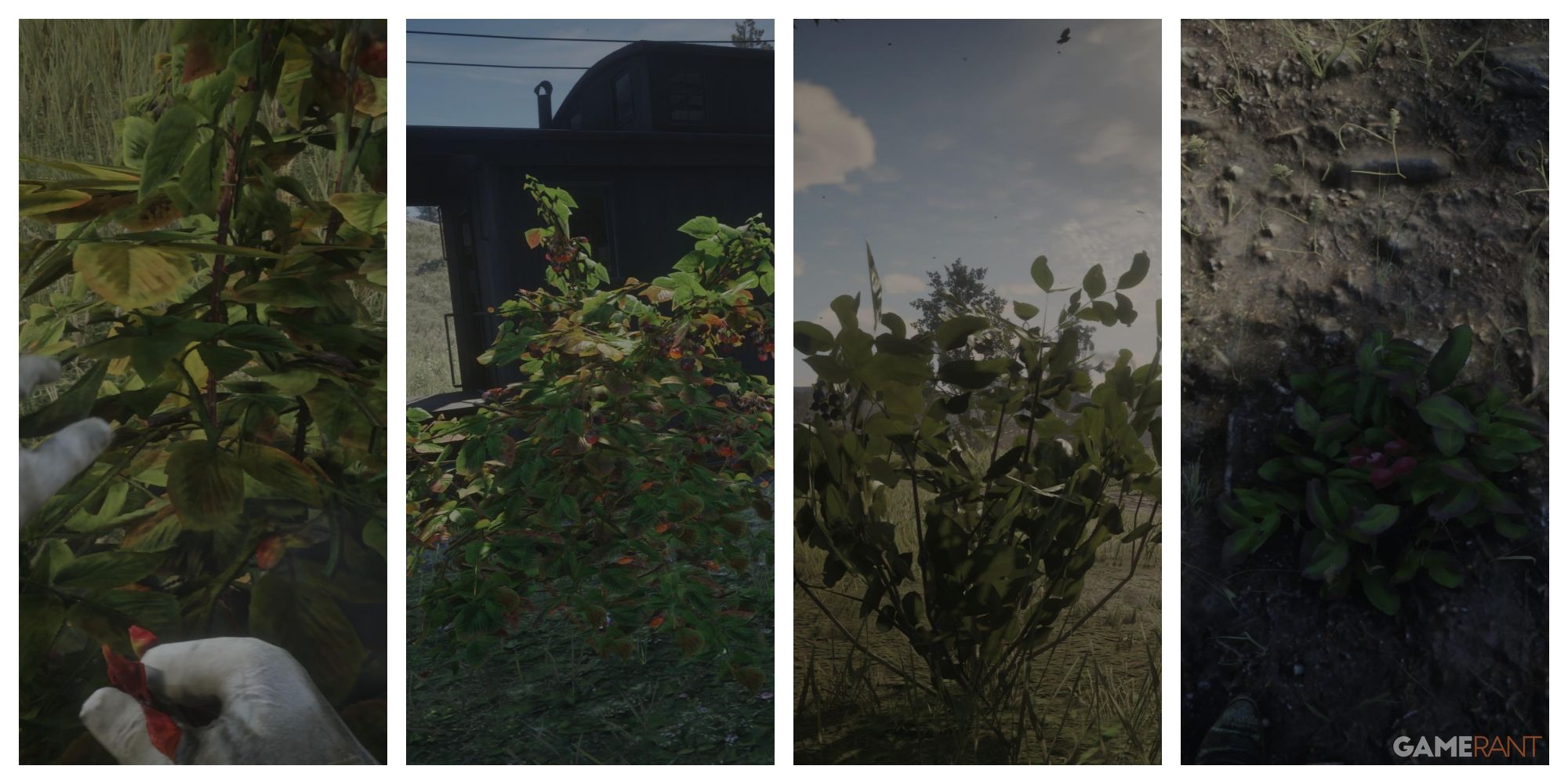 Red Dead Redemption 2: All Rock Carving Locations