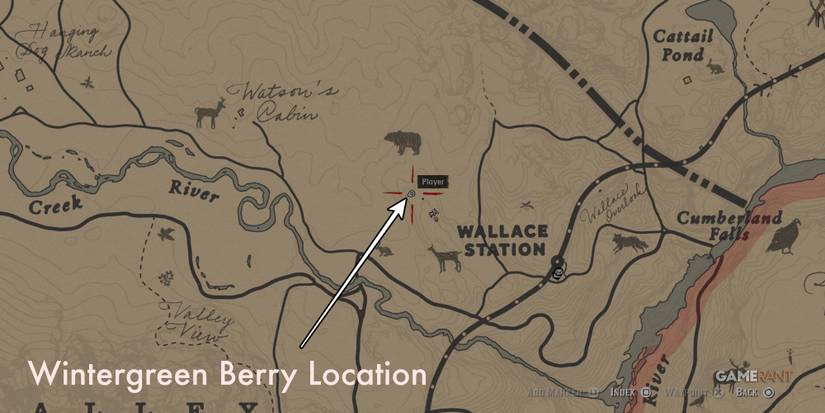 Red Dead Redemption 2: Where to Find All Berries