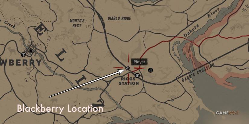 Red Dead Redemption 2: Where to Find All Berries