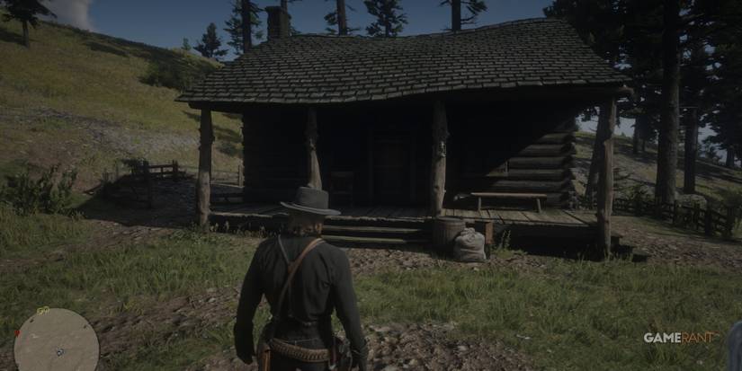 Red Dead Redemption 2: All Rock Carving Locations