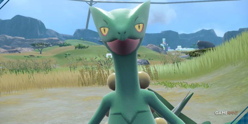 Treecko Location in Pokemon Scarlet & Violet (Indigo Disk)