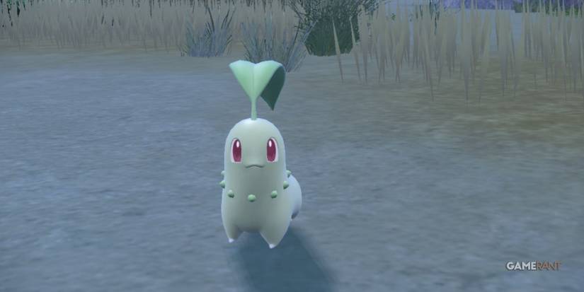 chikorita pokemon violet