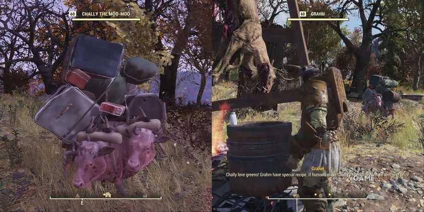 Fallout 76: How To Make Chally's Feed