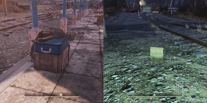Fallout 76: All Stingwing Locations
