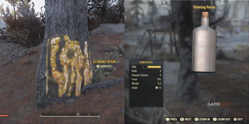 Fallout 76: How to Get Elder's Mark