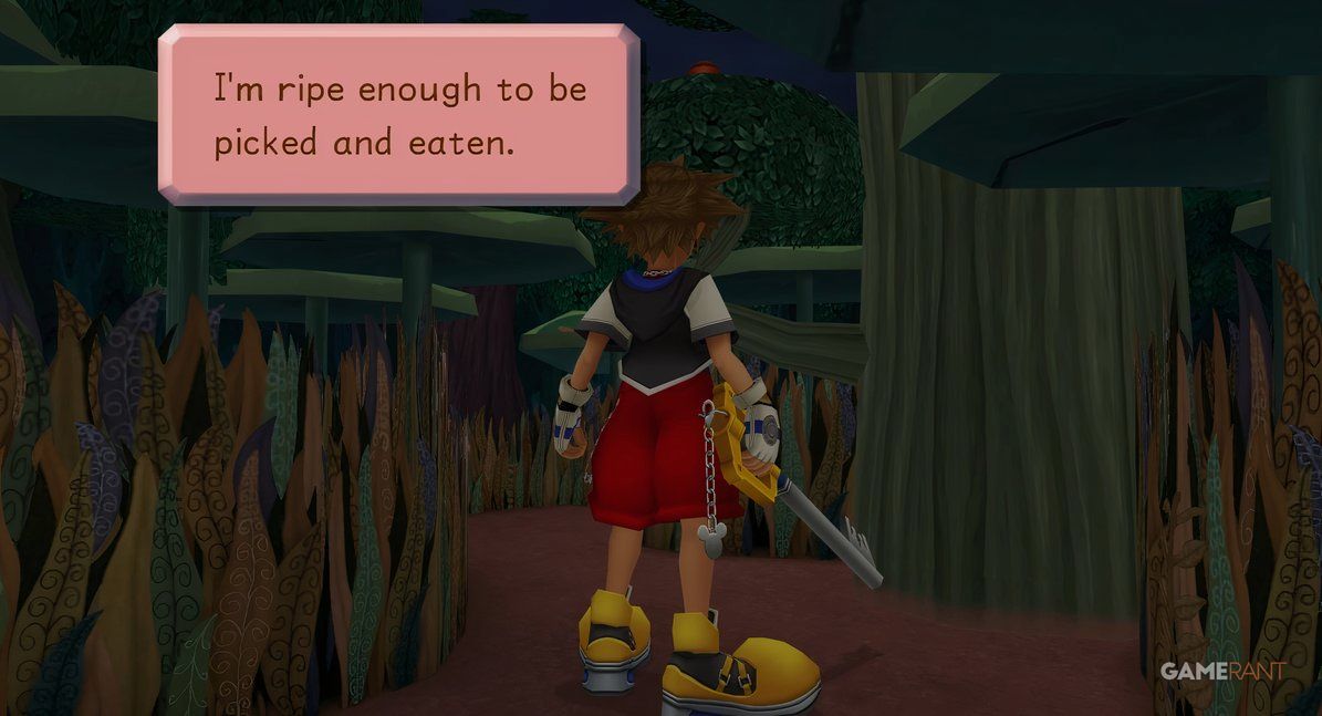 Kingdom Hearts 1 Wonderland Evidence Locations