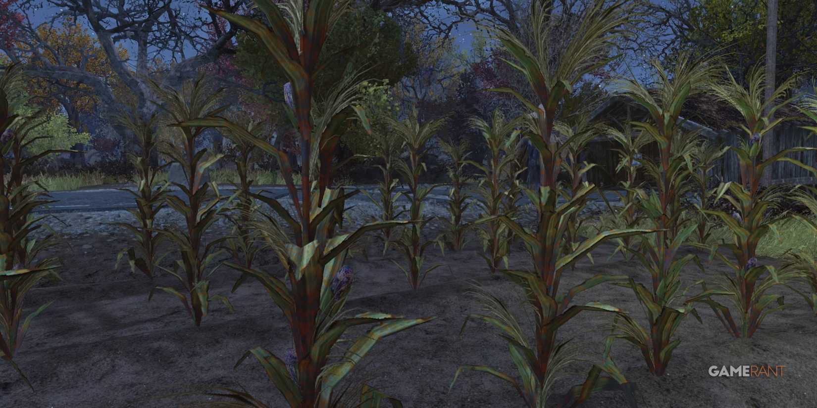 Fallout 76: How To Manage Stash Weight