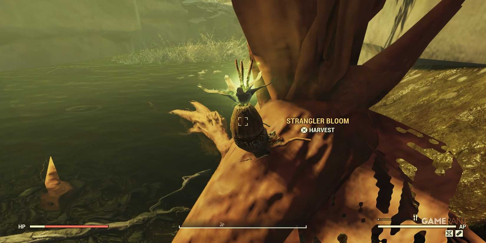 How To Make Swamp Tofu in Fallout 76