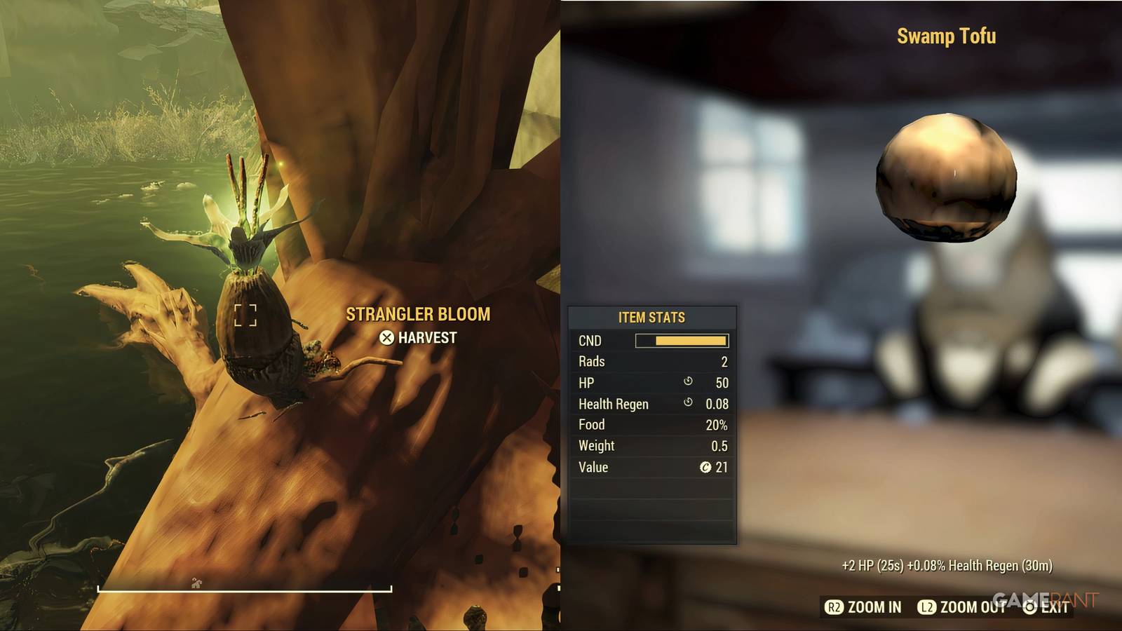 How To Make Swamp Tofu in Fallout 76