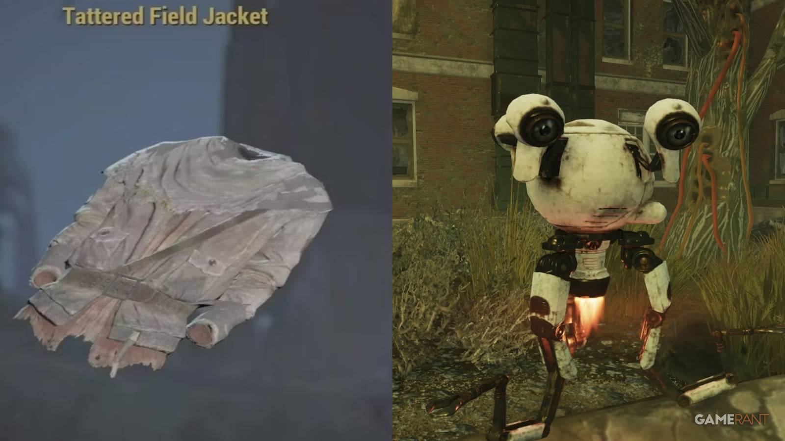 Fallout 76: How To Get The Tattered Field Jacket