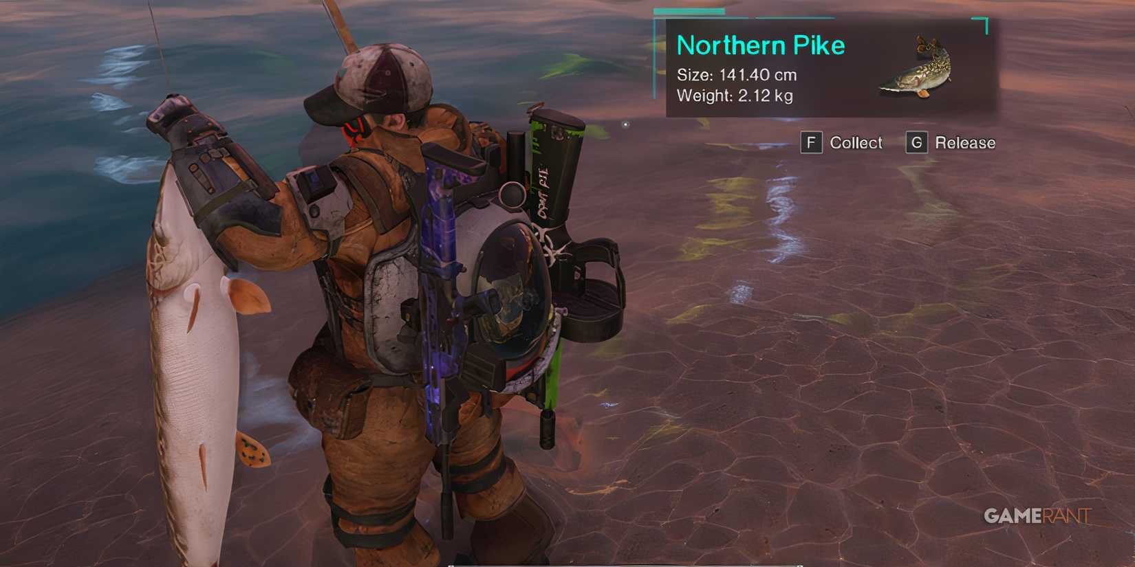 The Hardest Fish To Catch In Once Human