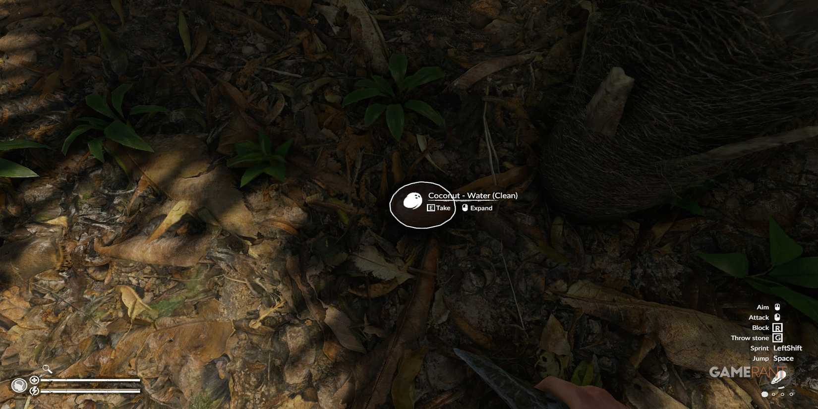 How To Get And Boil Water In Green Hell